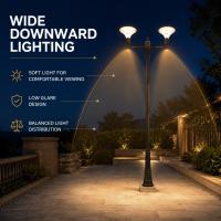 China Dual Head Solar Promenade Light IP65 Decorative Pole Fixture For Waterfront Walkways for sale