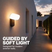 China 12W Adjustable Rectangular LED Outdoor Wall Light for Porches Entrances Balconies for sale