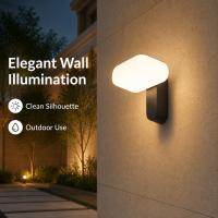 China 12W Adjustable Rectangular LED Outdoor Wall Light for Porches Entrances Balconies for sale