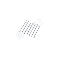 China Copper Nail for sale