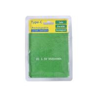 China Rechargeable Lithium Battery D1 1.5V 9500mWh for sale