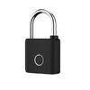 China Fingerprint Padlock Home Warehouse Patio Gate Padlock for sale