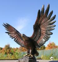 China Life Size Modern Flying Eagle Bronze Sculpture for Garden Model Outdoor Metal Crafts for sale
