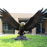 China Life Size Modern Flying Eagle Bronze Sculpture for Garden Model Outdoor Metal Crafts for sale