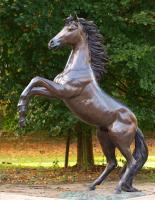 China 1 Color Print Method Custom Life Size Bronze Horse Sculpture for Art Collectible for sale