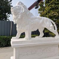 China Custom China Foo dog statue traditional Eastern lion statue hand carved white marble foo dog statues sale for sale