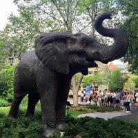 China Outdoor Garden Large Metal Animal Art Statue Bronze Elephant Sculpture For Sale for sale
