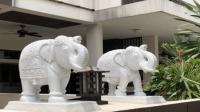 China Outdoor Garden Decor Life Size Elephant Statue Made of Natural Stone Marble Sculpture for sale