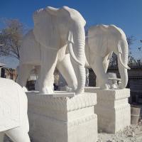 China Hot Outdoor Garden Custom Stone Animal Statues Walk White Marble Elephant Sculpture Custom Stone Sculptures For Sale for sale