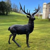 China Factory Bronze deer animal sculpture can be used for interior decoration or public spot park and can be customized for sale