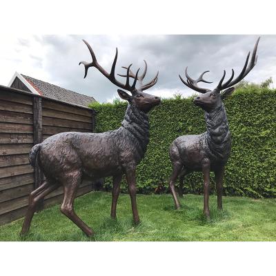 China Factory Bronze Animal Sculpture Hot Selling Life Size Bronze Elk Deer Statue For Outdoor Decoration for sale
