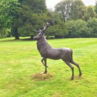 China Cast aluminum life size bronze deer statue for garden and home decor, stag and doe set garden sculpture For Sale for sale
