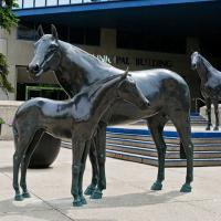 China 2024 New Style Life Size Brass Outdoor Metal Art Horse Statue Bronze Garden Sculpture for Sale for sale