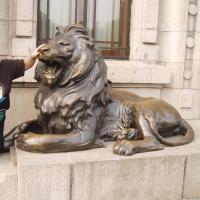 China Customized Bronze Brass Metal Small Lion Animal Sculpture for Indoor Home Decoration for sale