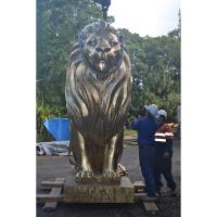 China Large Bronze Lion Statues for Custom Outdoor Garden Decor Metal Animal Sculpture for sale