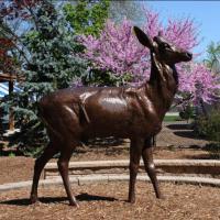 China Engraving Bronze Deer Statue Metal Cast Stag Sculpture Garden Ornament Popular Supply for sale