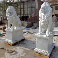 China Large Natural White Marble Stone Lion Sculpture Western Style Custom Garden Decorative for sale