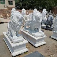 China Outdoor Garden decoration White Marble Lion Statue hand carved  life size stone animal sculpture for sale