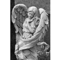 China Hot Sale Park Decoration Natural White Marble Sculpture and Statue Cemetery Angel Statues For Sale for sale