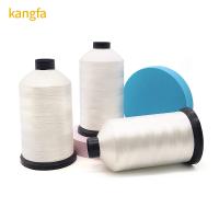 China Customized Pattern V69 Tex 70 Nylon Thread 210d/3 69 for Leather Shoes/ Bags/ Suitcase for sale