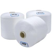 China Raw White 150D/3 Tex45 TKT60 Polyester Sewing Thread with Low Shrinkage and Durability for sale