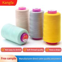 China Low-Priced High Tenacity 40/2 Spun Polyester Sewing Thread for Customization Sale for sale