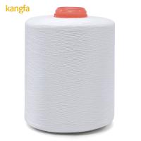 China White 150D/3 1.6kg High Tenacity Polyester Yarn Suitable for Various Applications for sale