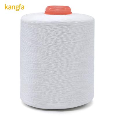 China White 150D/3 1.6kg High Tenacity Polyester Yarn Suitable for Various Applications for sale