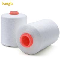 China White 150D/3 1.6kg High Tenacity Polyester Yarn Suitable for Various Applications for sale