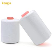 China White 150D/3 1.6kg High Tenacity Polyester Yarn Suitable for Various Applications for sale