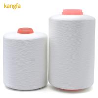 China White 150D/3 1.6kg High Tenacity Polyester Yarn Suitable for Various Applications for sale