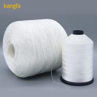 China 1.25Kg High Tenacity Polyester Yarn 210D/36 for Chemical Resistance Directly Supplied for sale