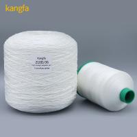 China 1.25Kg High Tenacity Polyester Yarn 210D/36 for Chemical Resistance Directly Supplied for sale