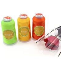 China 100% Polyester 120d 2 5000y Embroidery Thread for Crochet Machine Production Line for sale