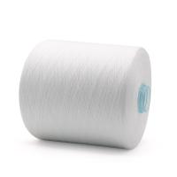 China 100% Polyester Yarn Free Sample Without Freight And OEM/ODM Support for sale