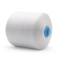 China White 1.25kg 40/2 20/3 30/3 100% Spun Polyester Yarn for OEM in Raw White Pattern for sale