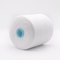 China White 1.25kg 40/2 20/3 30/3 100% Spun Polyester Yarn for OEM in Raw White Pattern for sale