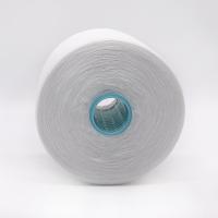China OEM 40/2 20/3 30/3 100% Spun Polyester Yarn with Chemical Resistance and Raw White Pattern for sale