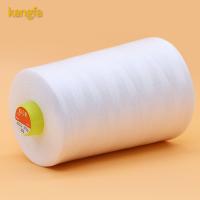 China 100% Polyester Sewing Thread 40/2 Yarn Count 40/2 in Dyed for sale