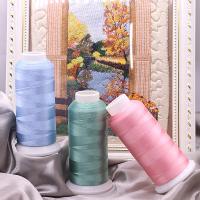 China Embroidery Thread Color Cards Book 120g Weight g/ball for Boho Style Necessities for sale