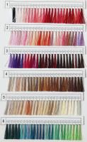 China Embroidery Thread Color Cards Book 120g Weight g/ball for Boho Style Necessities for sale