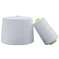 China Manufacture Produce Spun Polyester Yarn OEM Raw White 60/2 with Chemical Resistance for sale