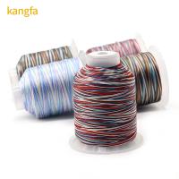 China 100g Multi-Colors Variegated Embroidery Thread 1000 Meters for Hand Knitting Projects for sale