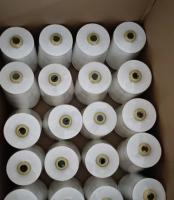 China 500g 40S-2 Quilting Top Thread for Chemical Resistance and 100% Polyester Sewing Needs for sale