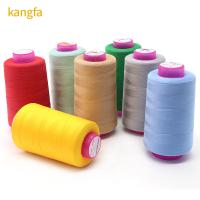 China OEM/ODM Accepted 100g 20s/2 Polyester Sewing Thread in 1000 Colors for Textile Needs for sale