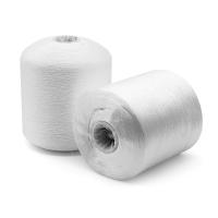 China OEM 40/2 20/2 100% Spun Polyester Yarn with Chemical Resistance and 100-500g for sale