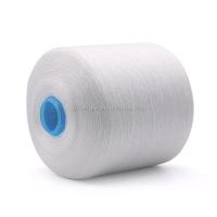 China Chemical Resistance 40/2 20/2 100% Spun Polyester Yarn with 1.25kg Net Weight at OEM for sale