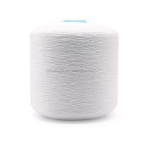 China Chemical Resistance 40/2 20/2 100% Spun Polyester Yarn with 1.25kg Net Weight at OEM for sale