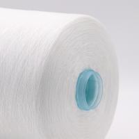 China Chemical Resistance 40/2 20/2 100% Spun Polyester Yarn with 1.25kg Net Weight at OEM for sale