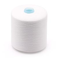 China 100% Polyester Yarn from OEM 20/2 30/2 40/2 50/3 for 100-500g for sale